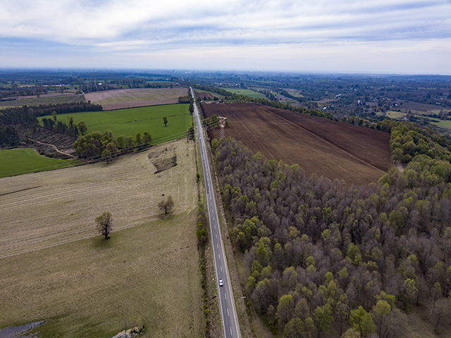 Octava región bosques y naturaleza7