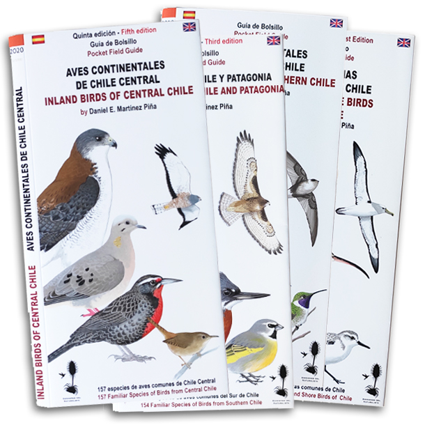 Pack 4 Guías de Campo Aves de Chlie | Andes Photo