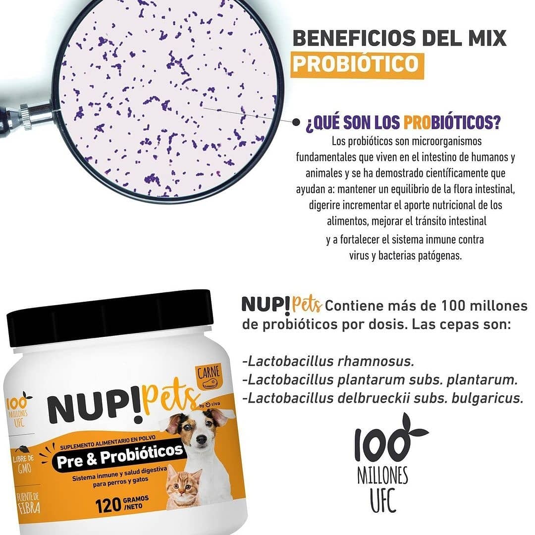 Nupipets
