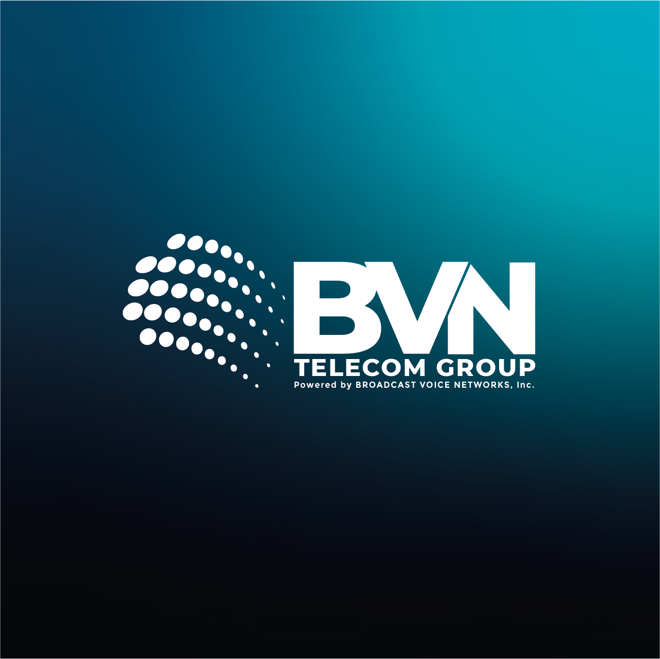 BVN Telecom Group