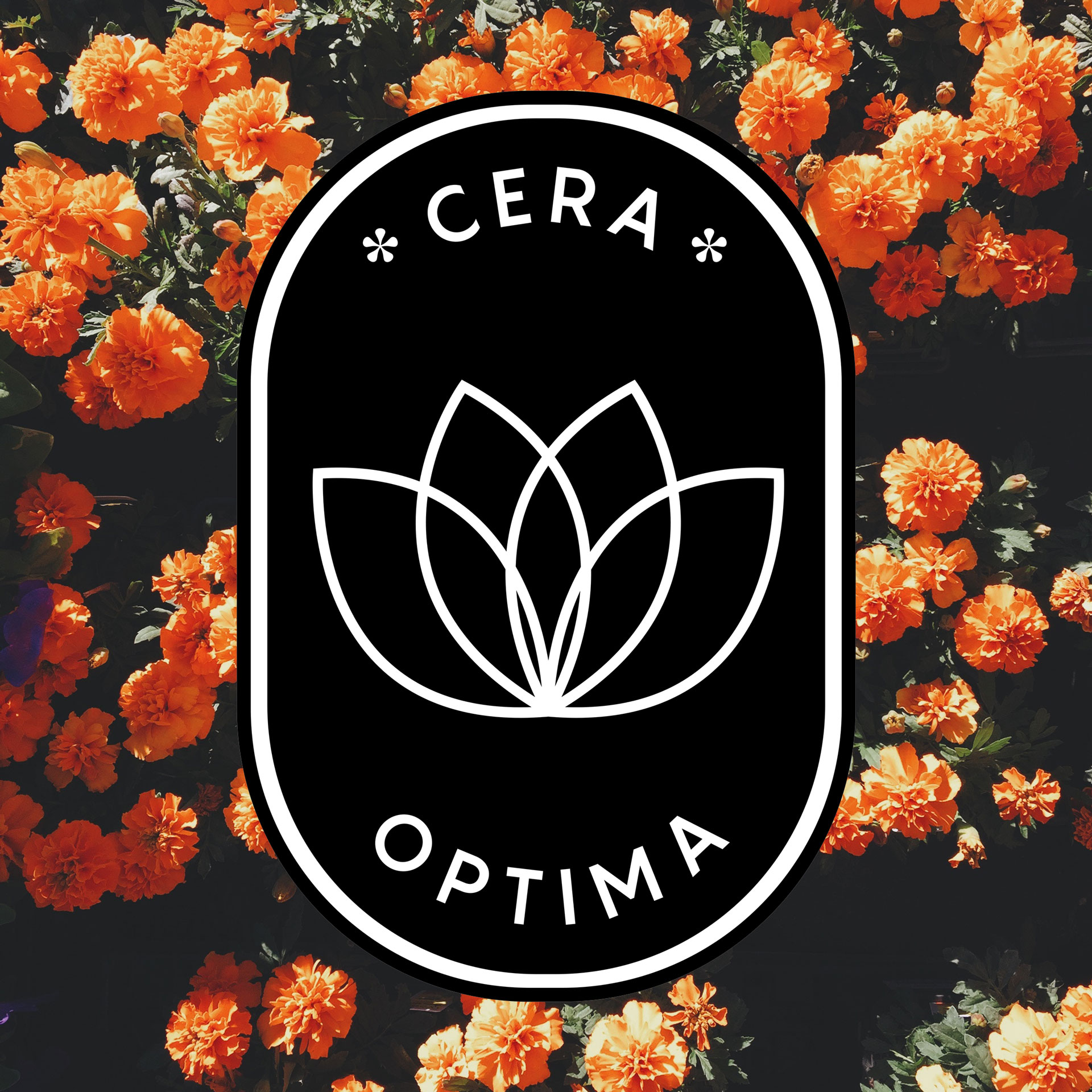 Cera Optima | Tienda Oficial