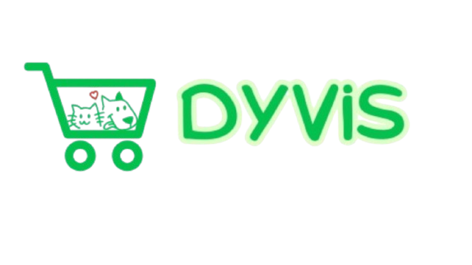 DYVIS CHILE LTDA