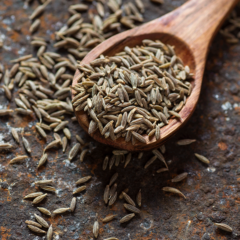 Comino | Condimentos | Especias | Gourmet