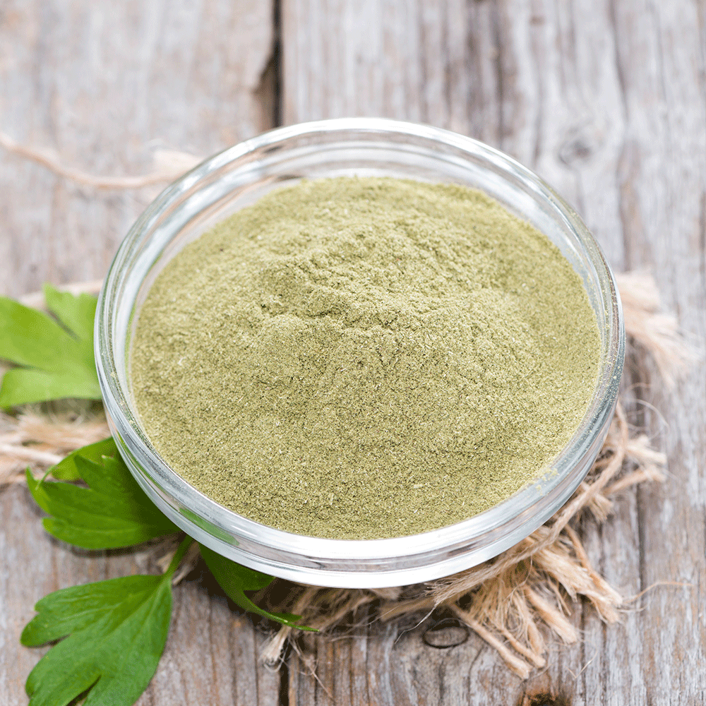 Apio Molido | Condimentos | Especias | Gourmet