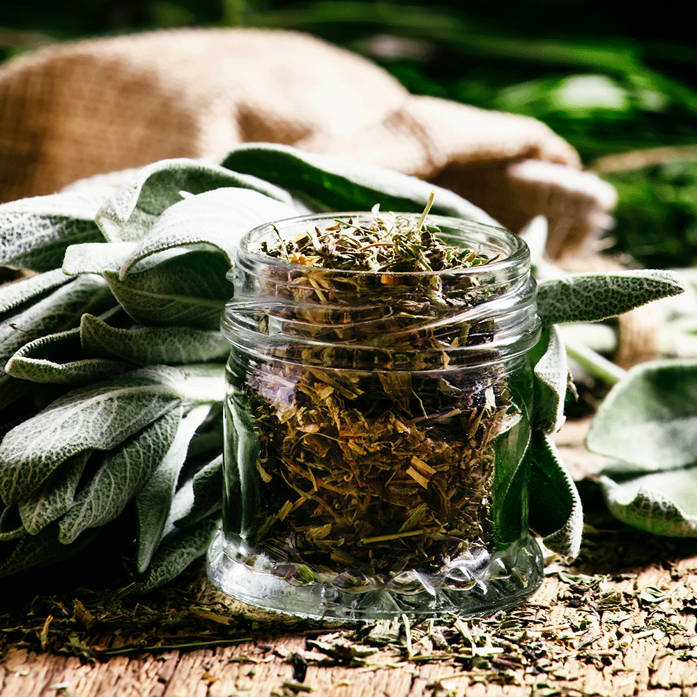 Salvia en Trozos | Condimentos | Especias | Gourmet