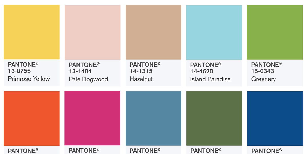 ¿Sabes qué es pantone?
