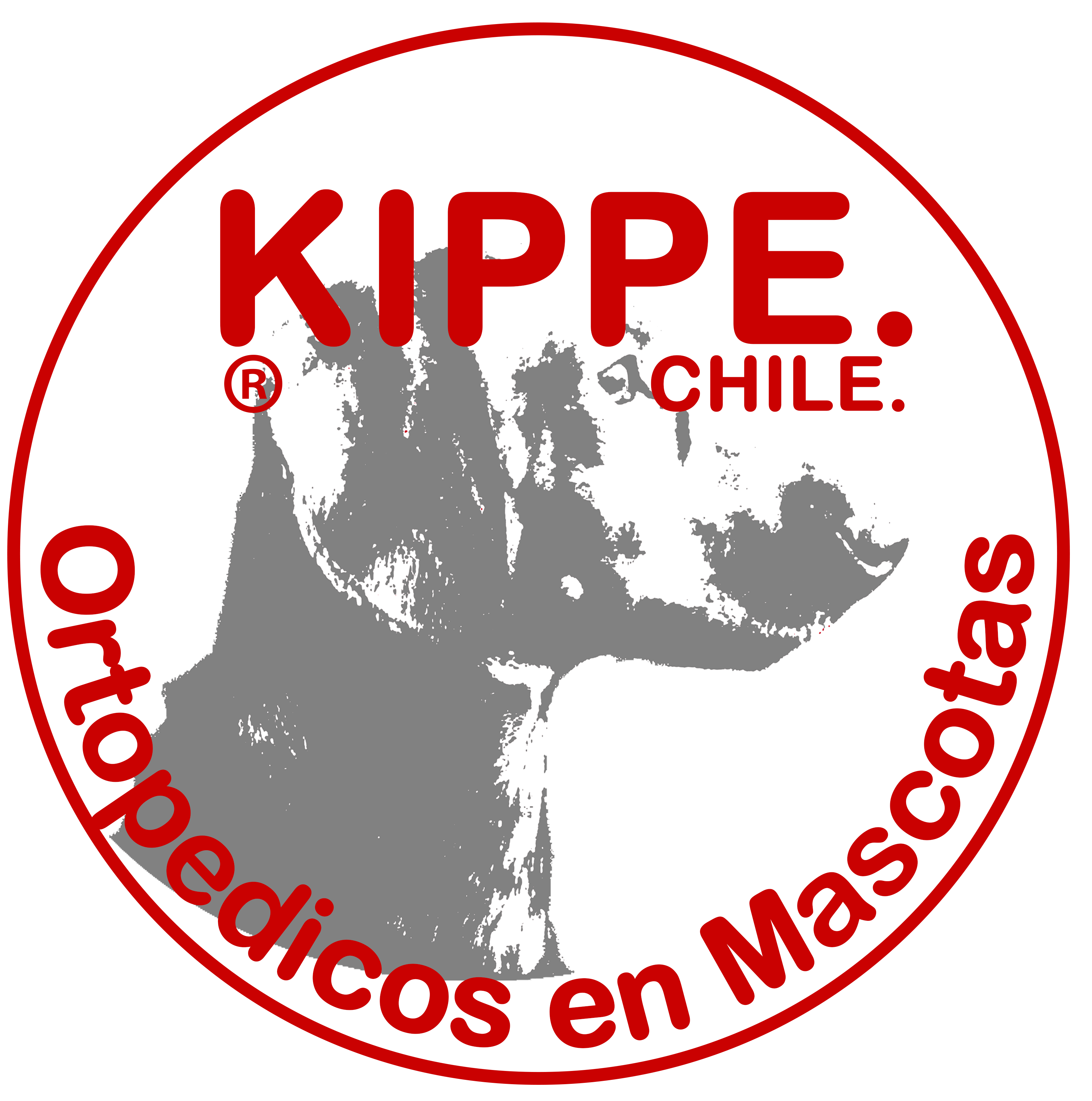 KIPPE Ortopédicos para Mascotas.