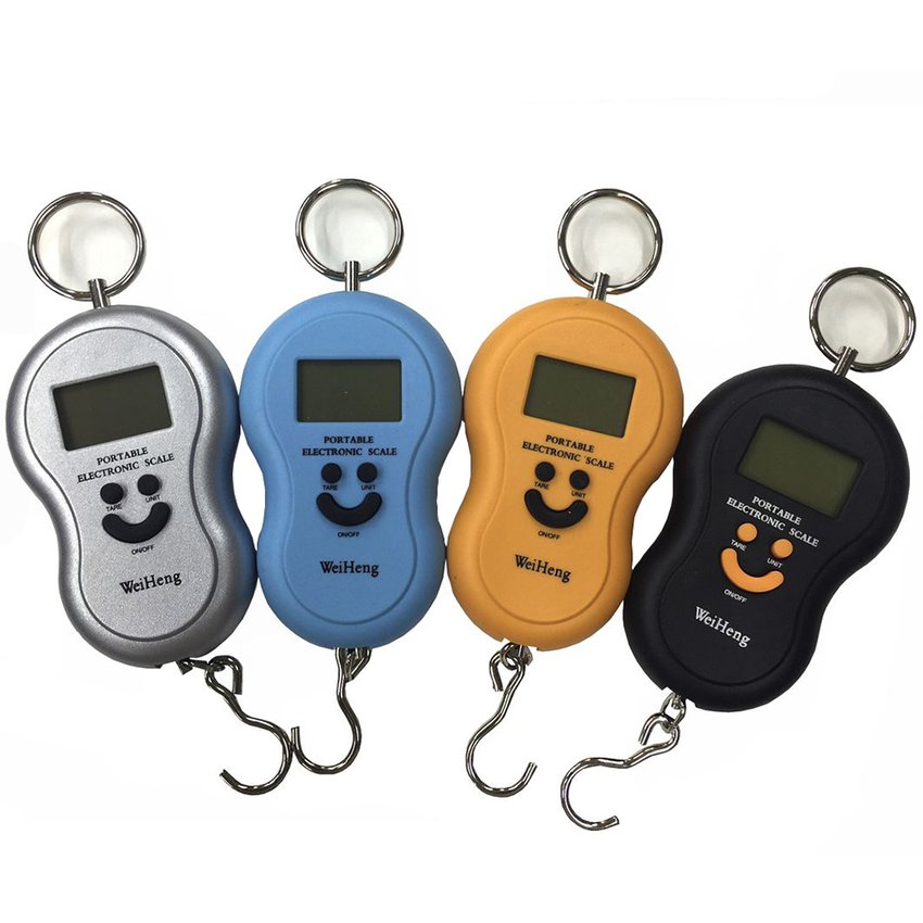 Portable Electronic Scala