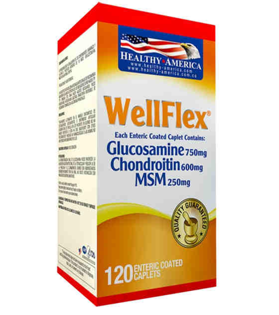 Well Flex 120 Capsulas | Healthy America | Comprar Online