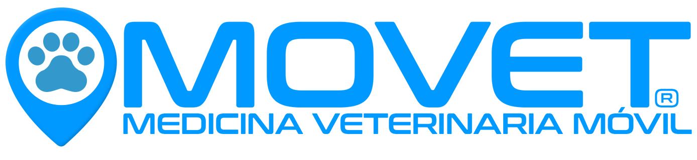 Veterinaria Movet: Cuidado Profesional para tus Mascotas ...