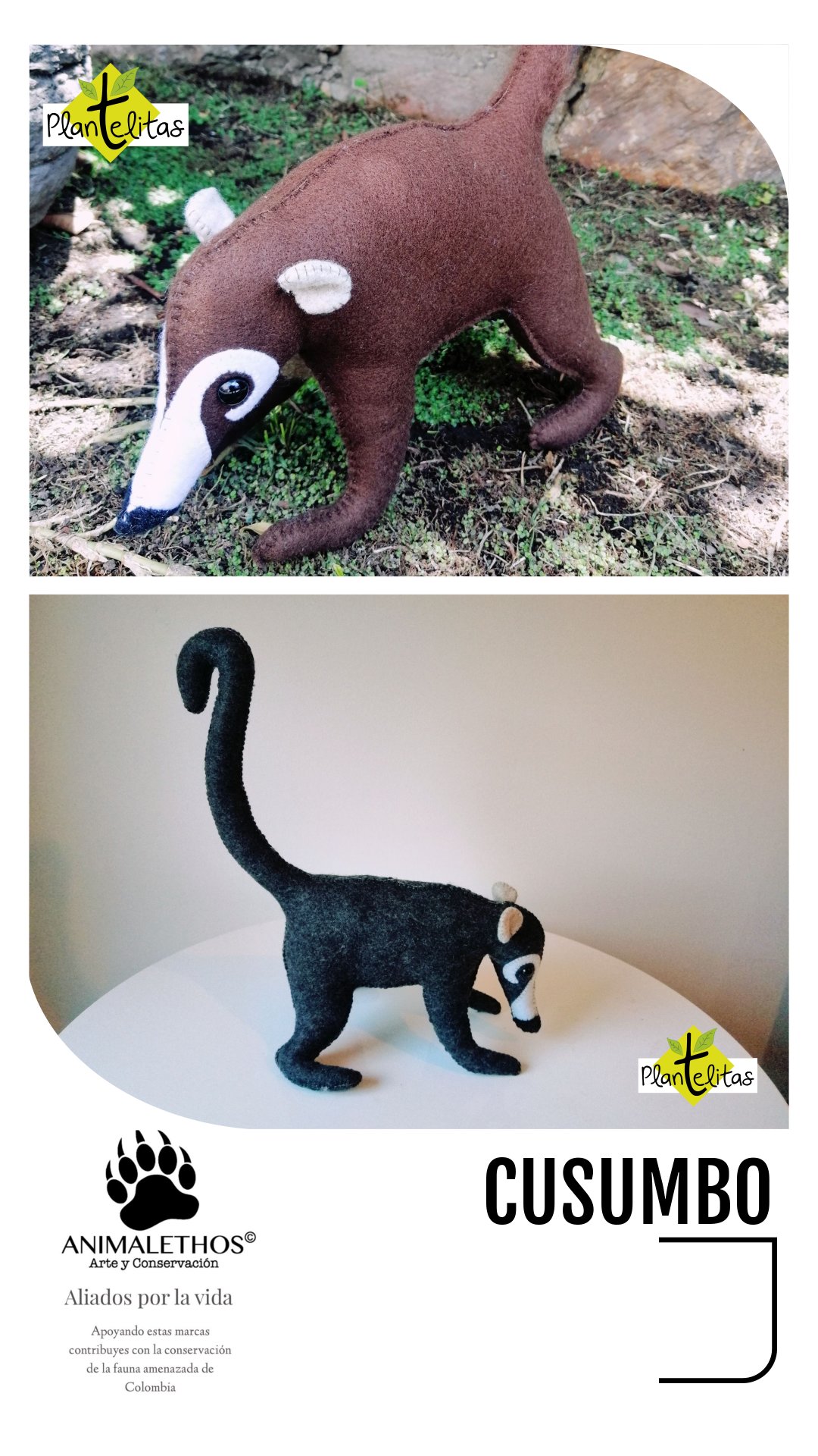 Cusumbo - Ayuntamiento de Campoo De Yuso / The latest tweets from ...