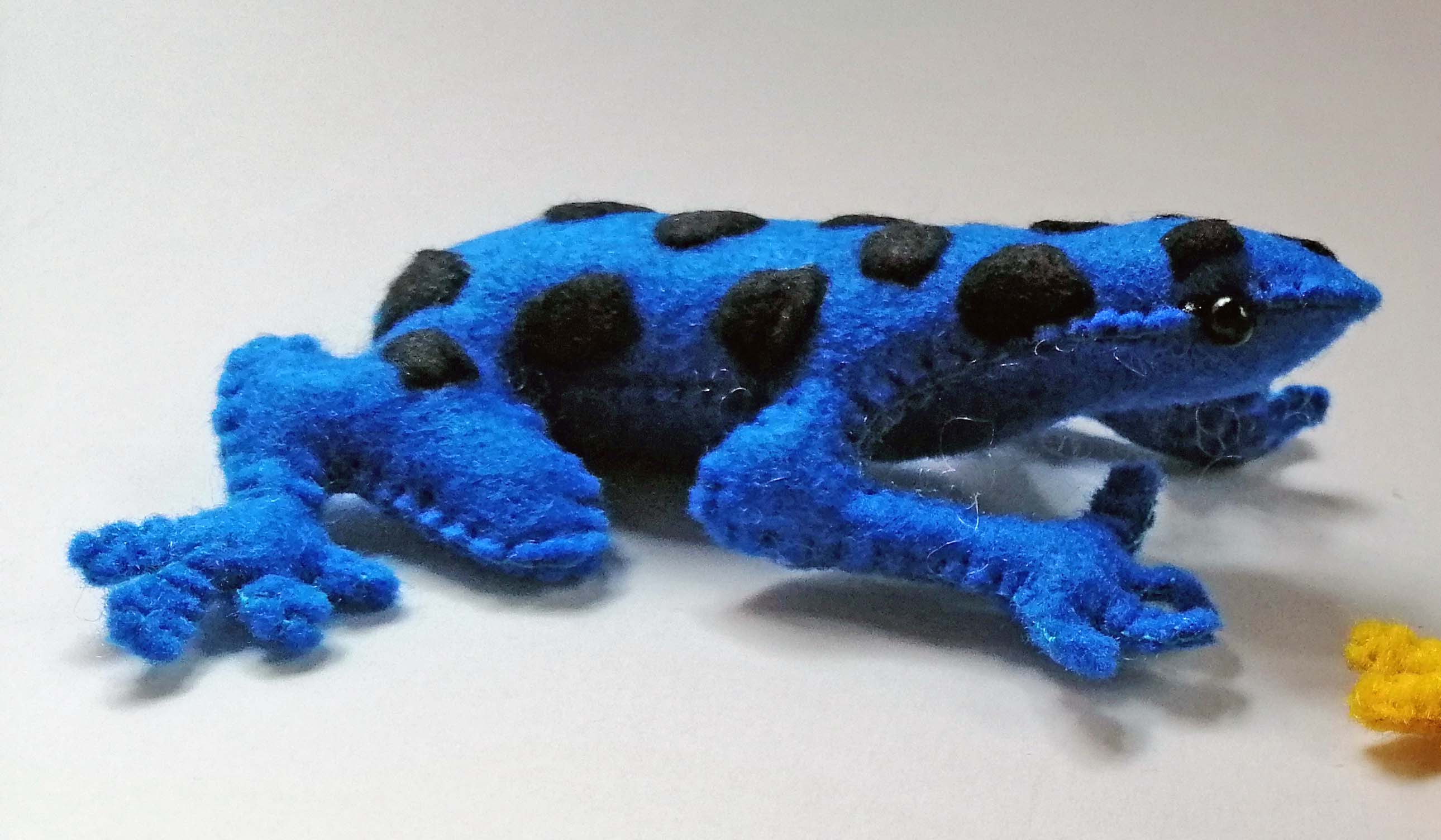 Rana Venenosa Azul