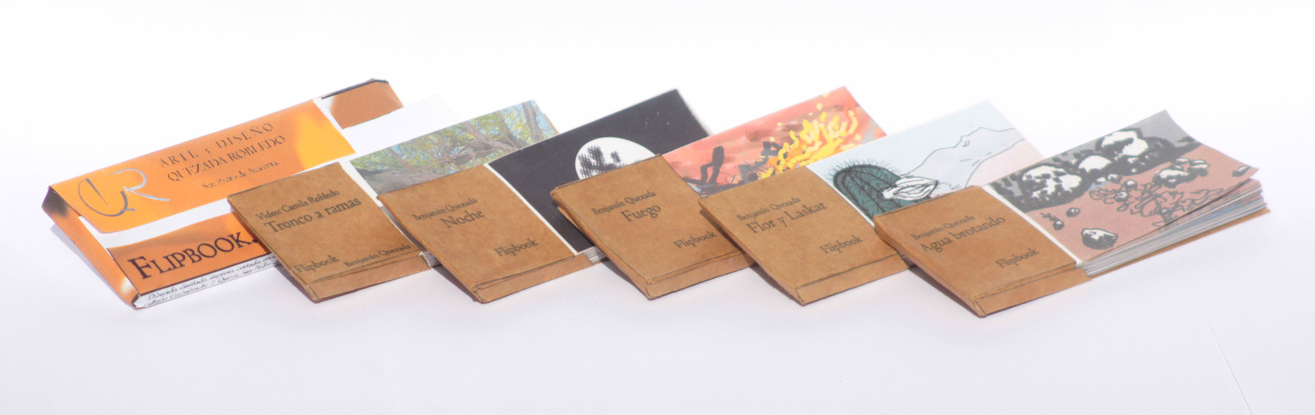 Colección 5 Flipbooks