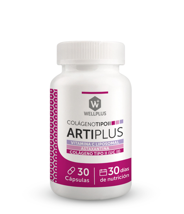 Arti plus 30 cápsulas Wellplus