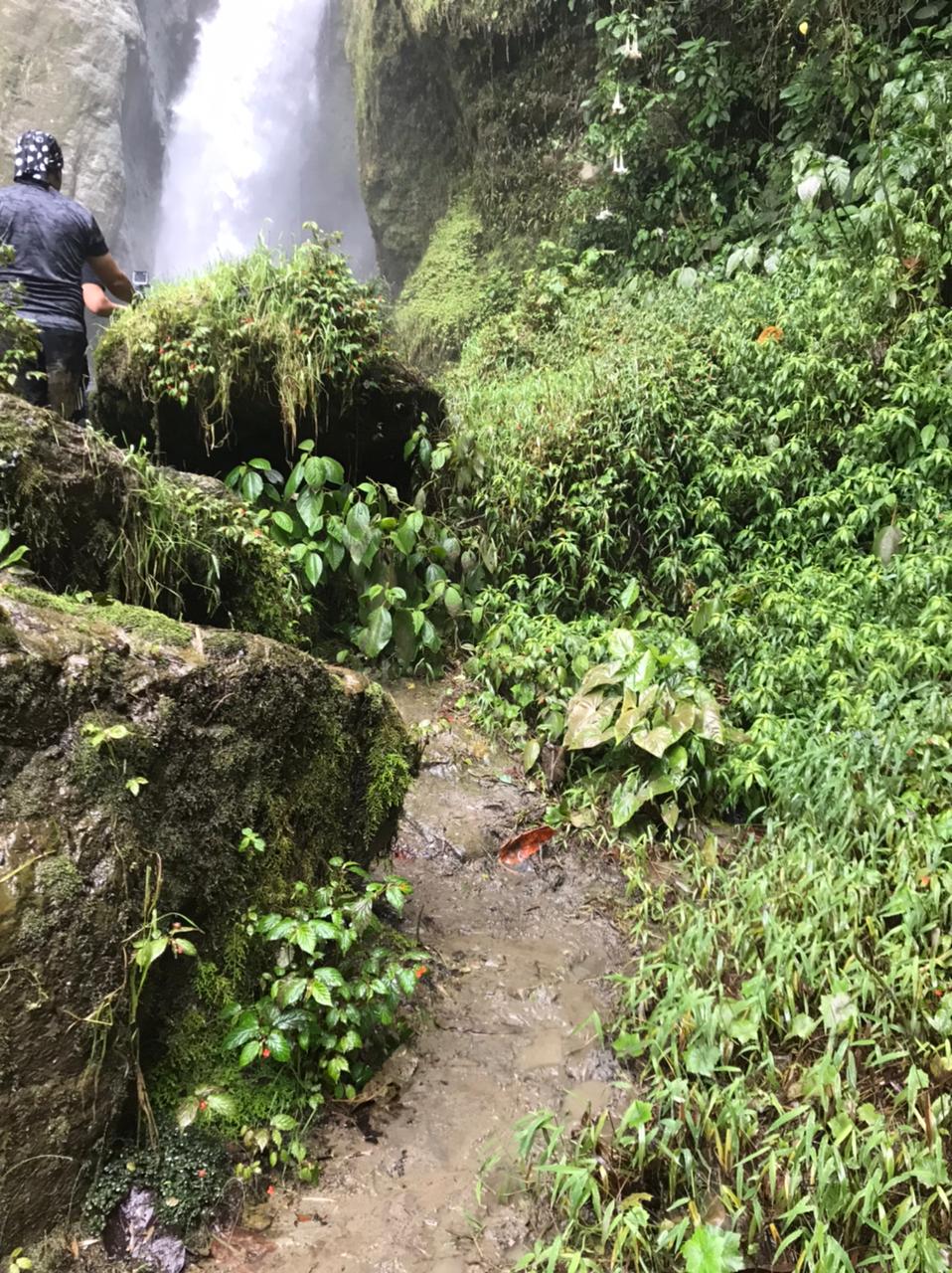 Caminata En Las Cascadas de Rio Verde | Rural Adventure