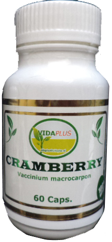 CRAMBERRY 3 FRASCOS DE 60 CASP 500 MG | VIDAPLUS
